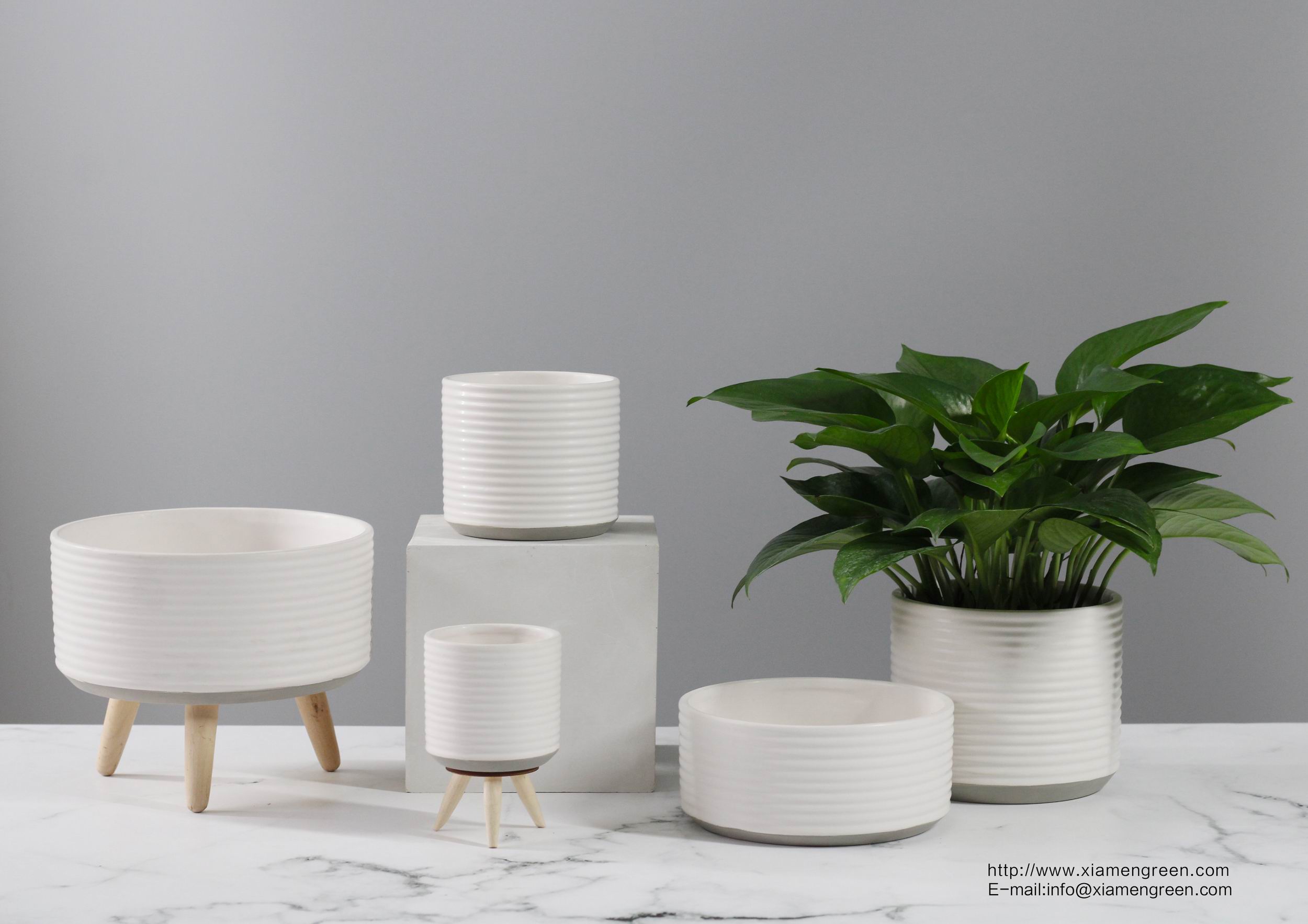 Florinia Inc. - Florinia_USA