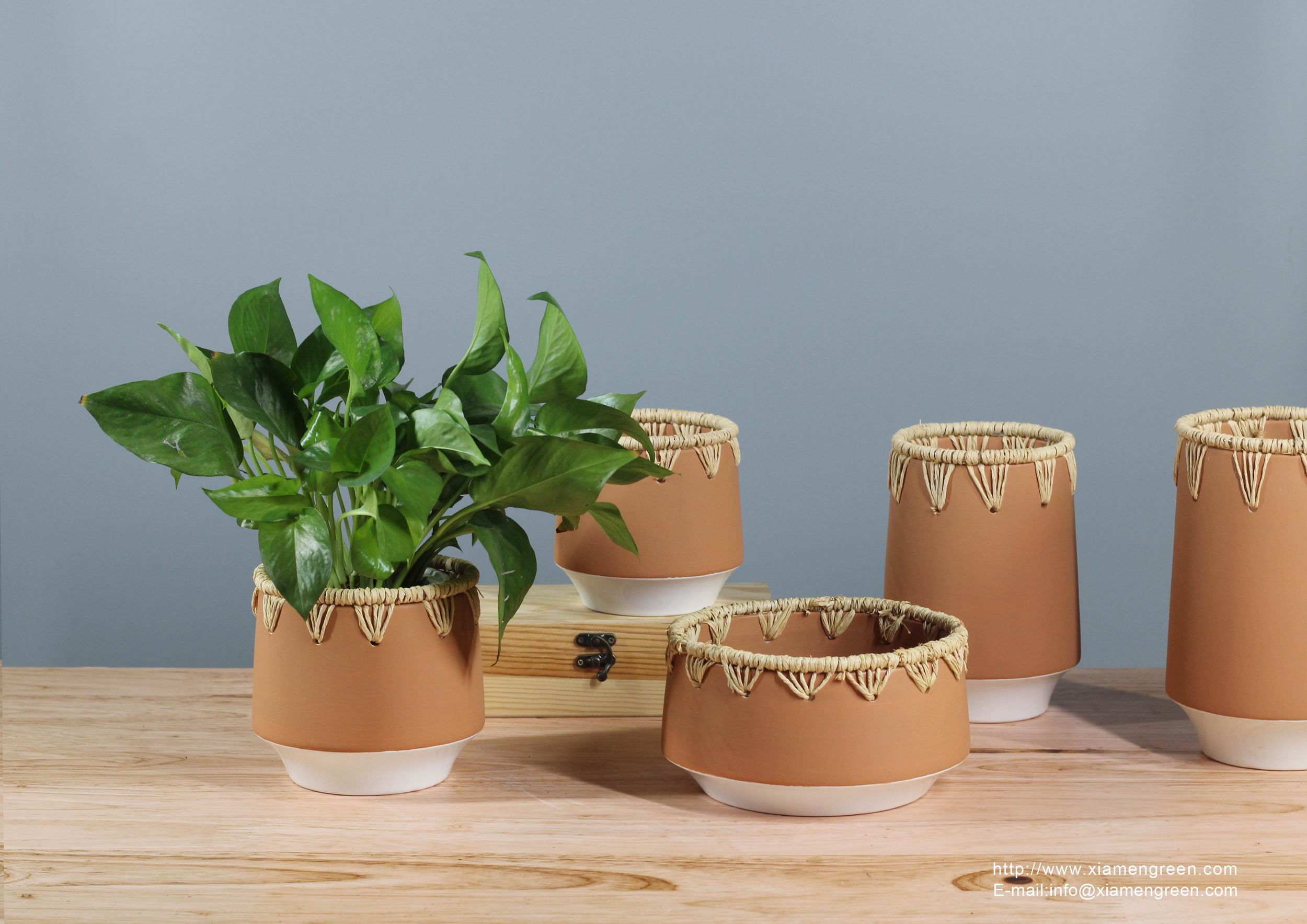 Florinia Inc. - Florinia_USA